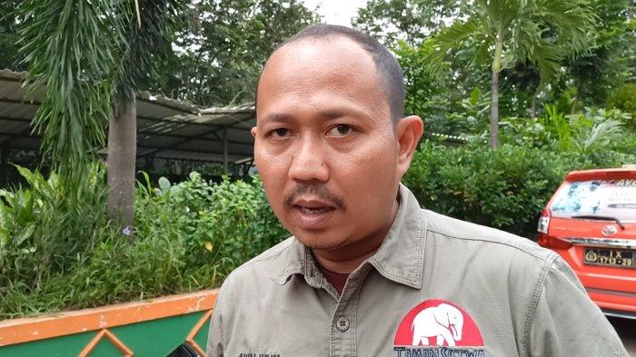 Kolaborasi dengan RANS Entertainment, Semarang Zoo Bocorkan Konsep Baru ...