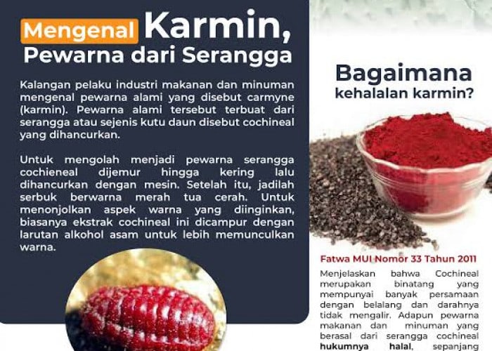 Yogurt dan Yakult Disebut Mengandung Pewarna Merah Karmin yang Haram ...